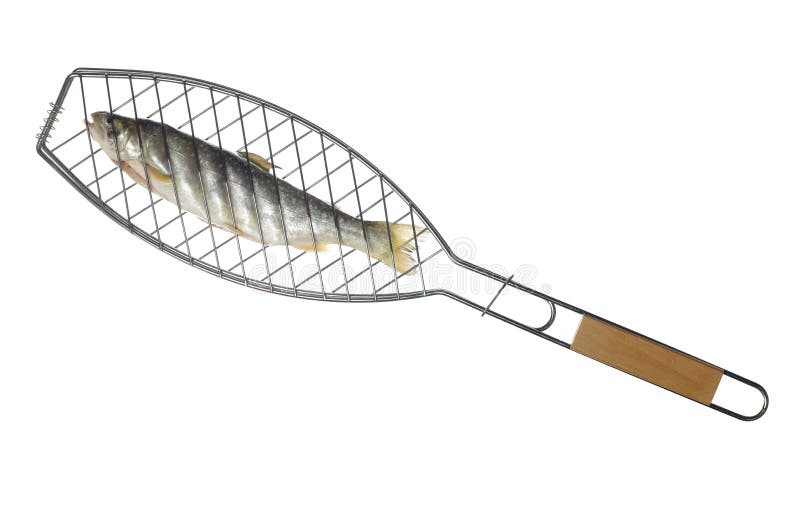 Truta foto de stock. Imagem de alimento, madeira, publicidade - 24791326