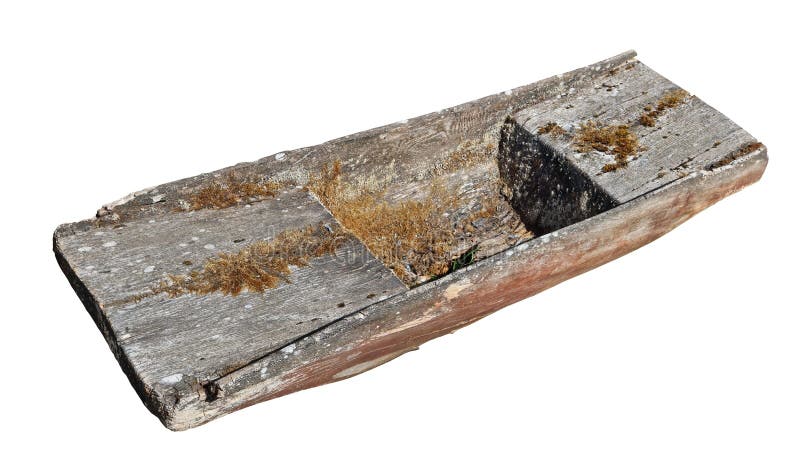 Truta De Madeira Podre, Caseira, Isolada Em Branco Imagem de Stock ...