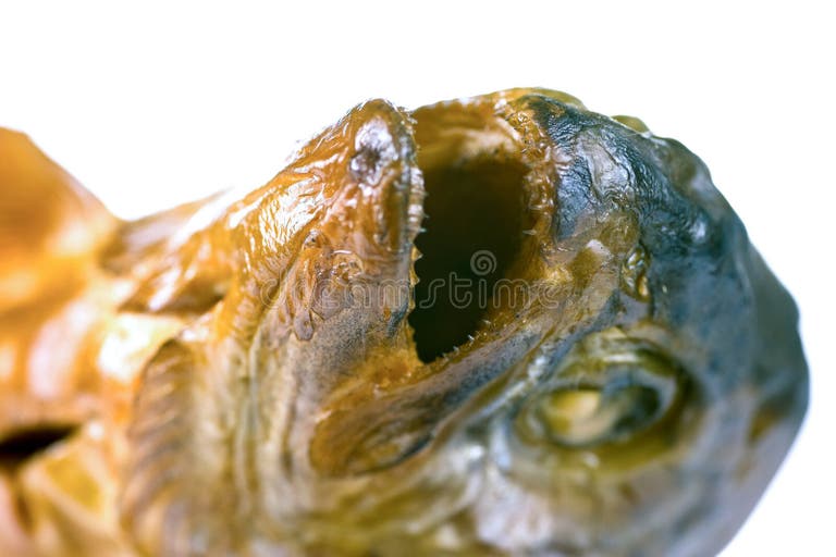 Truta fumada. foto de stock. Imagem de alimento, preparado - 23801496