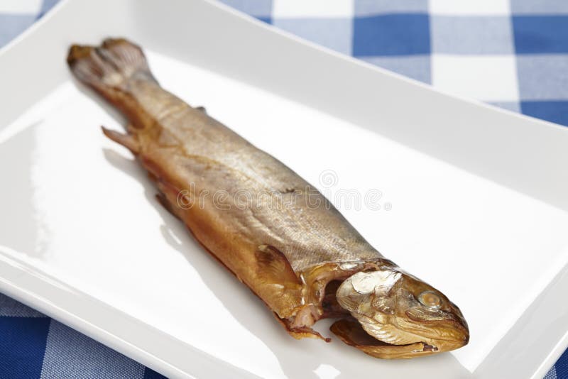 Truta fumado imagem de stock. Imagem de placa, fundo - 31217987