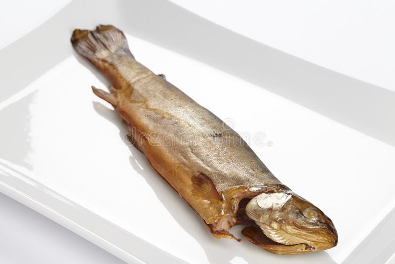 Truta fumado foto de stock. Imagem de alimento, branco - 31218044