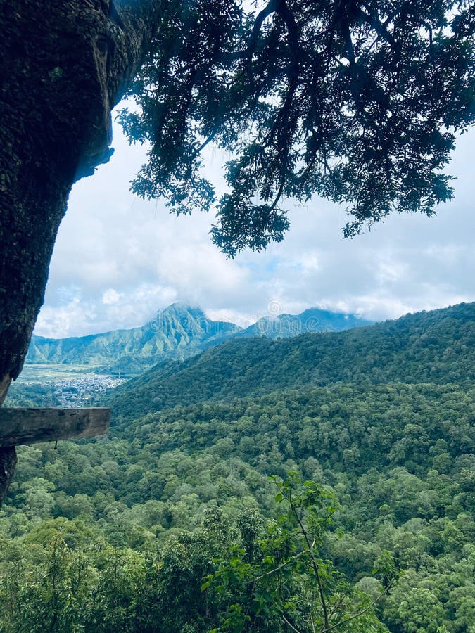 Try To Enjoy the Beautiful and Cool Natural Scenery Stock Photo - Image ...