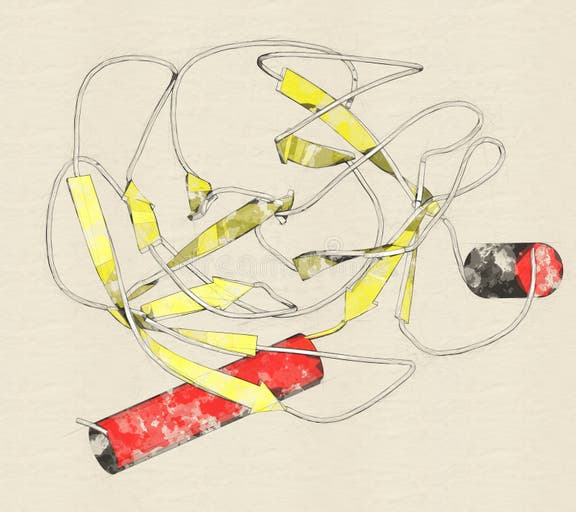 Digestive Coloring Stock Illustrations – 54 Digestive Coloring Stock ...