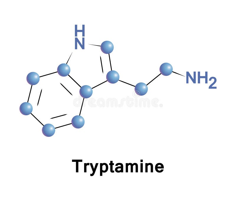 Tryptamin Ist Ein Monoaminealkaloid Vektor Abbildung - Illustration von ...