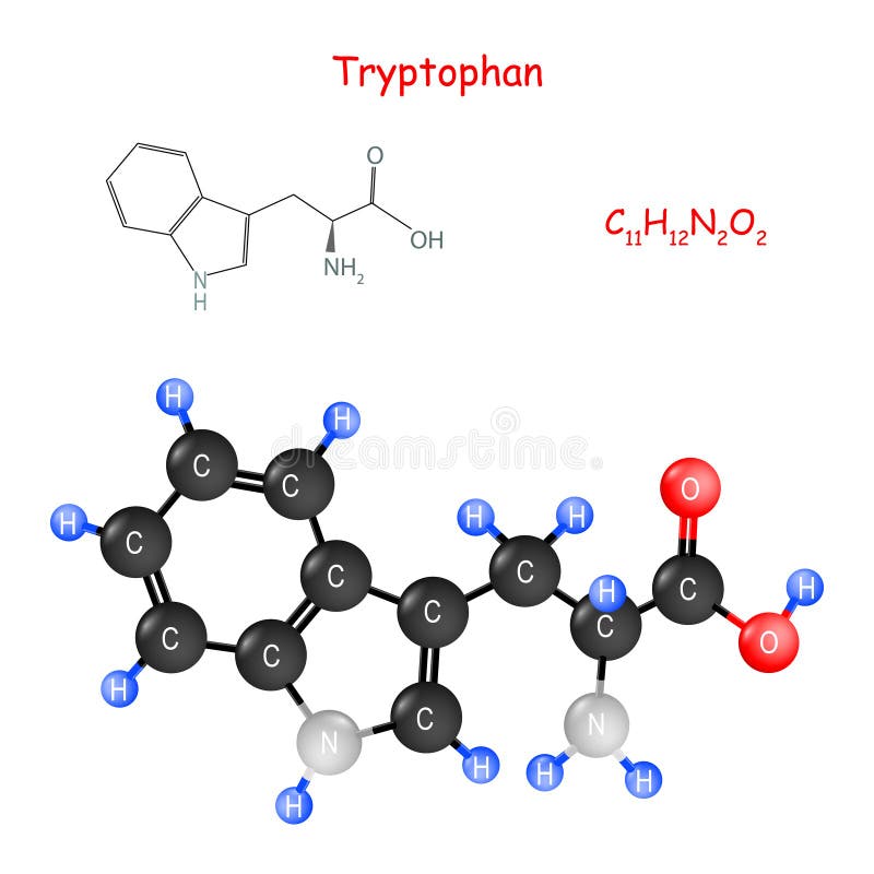 Tryptophan. Trp C11H12N2O2. Î±-Amino Acid. Structural Chemical Formula ...