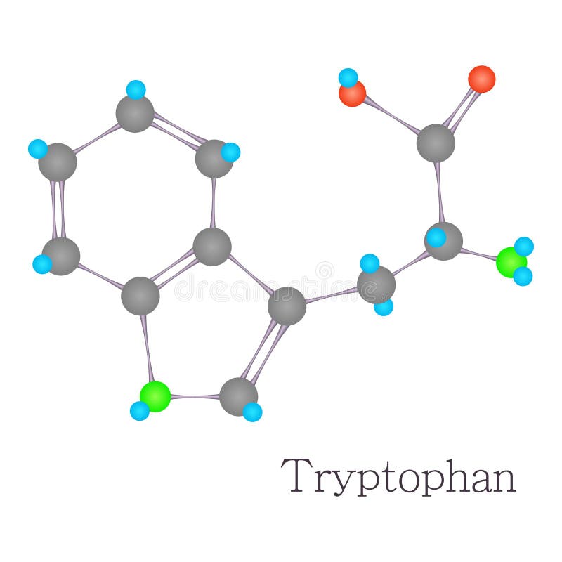 Tryptophan Molecule Structure Stock Illustration - Illustration of ...