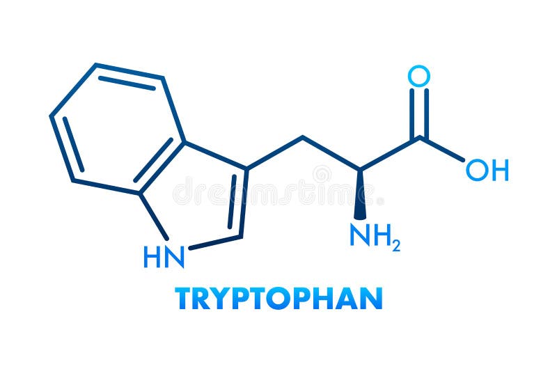 Tryptophan Formula. Tryptophan or L-tryptophan, Trp, W Amino Acid ...