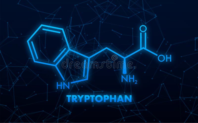 Tryptophan Formula. Tryptophan or L-tryptophan, Trp, W Amino Acid ...