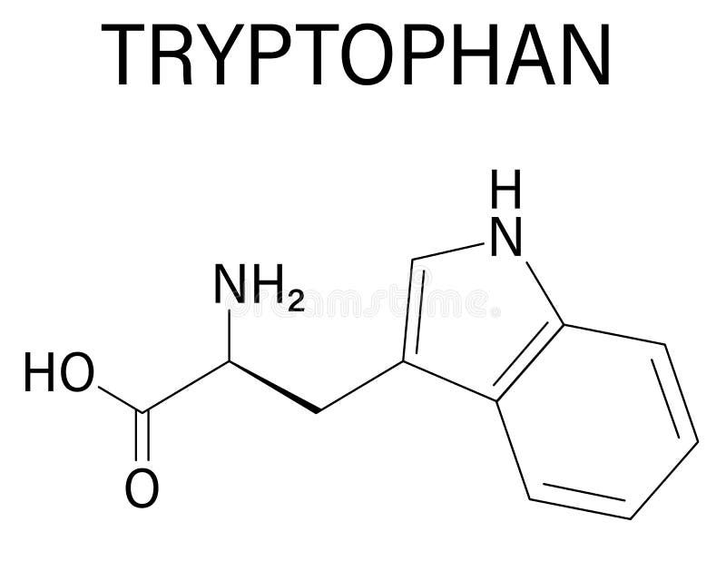 Tryptophan or L-tryptophan, Trp, W Amino Acid Molecule. Skeletal ...