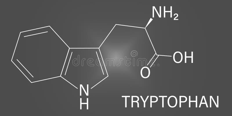 Tryptophan or L-tryptophan, Trp, W Amino Acid Molecule. Skeletal ...