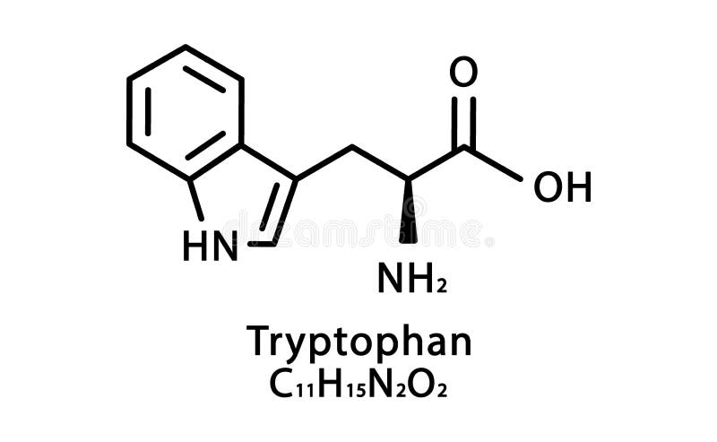 Tryptophan Molecular Structure. Tryptophan Skeletal Chemical Formula ...