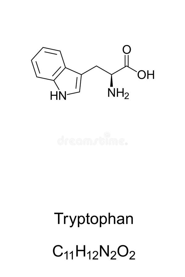 Tryptophan, Skeletal Formula and Molecular Structure Stock Vector ...