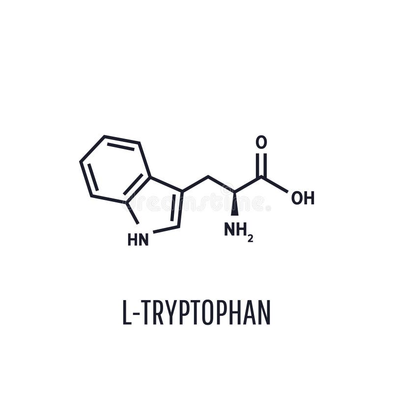 Tryptophan, Skeletal Formula and Molecular Structure Stock Vector ...