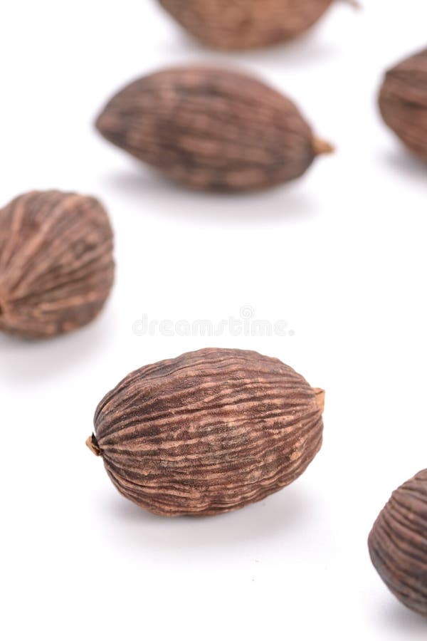Tsaoko stock photo. Image of allspice, amomum, aroma - 50993510