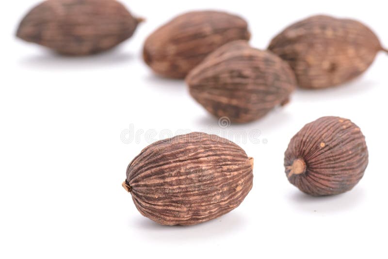 Tsaoko stock photo. Image of allspice, amomum, aroma - 50993510