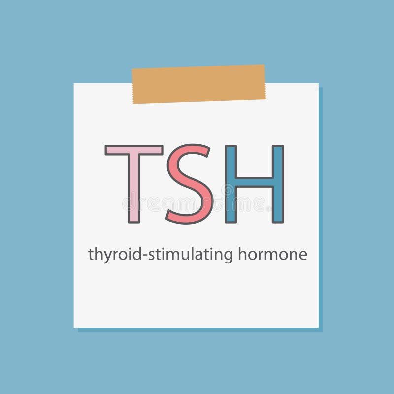 TSH Thyroid-stimulating Hormone Written in a Notebook Paper Stock ...