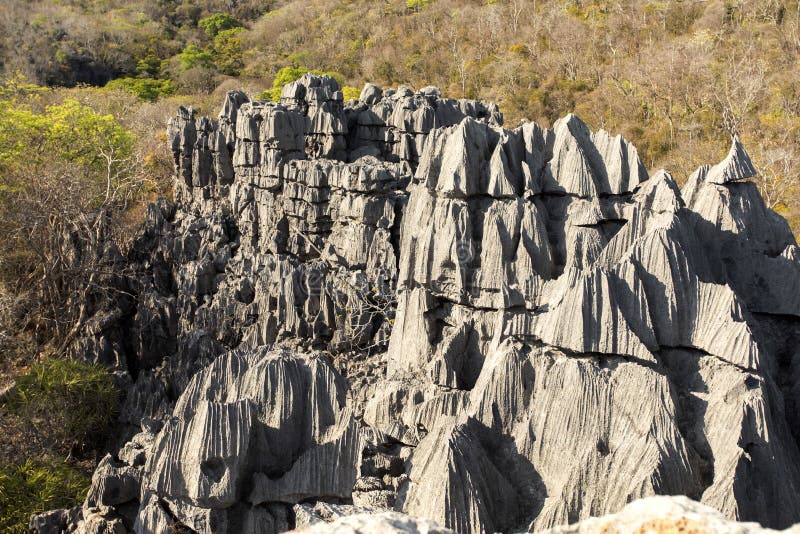 Tsingy Bizarre Limestone Cliffs, Reserve Ankarafantsika, Madagascar ...