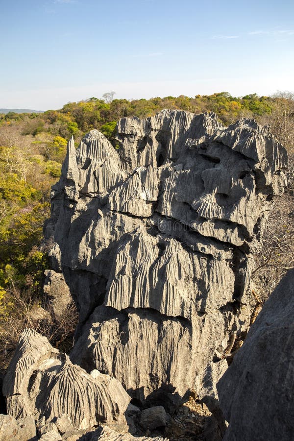 Tsingy Bizarre Limestone Cliffs, Reserve Ankarafantsika, Madagascar ...