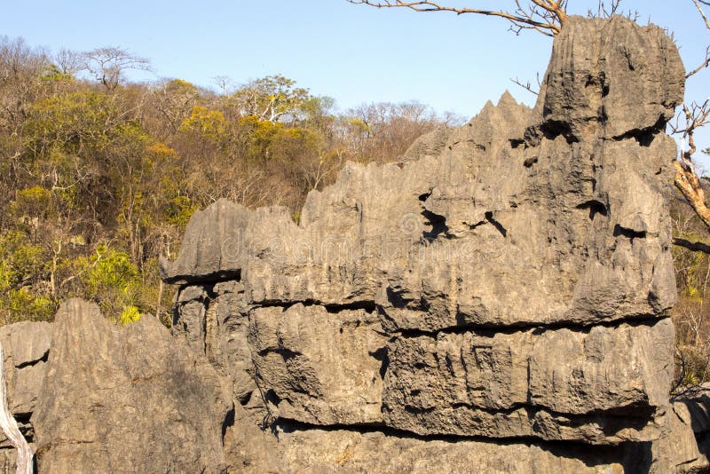 Tsingy Bizarre Limestone Cliffs, Reserve Ankarafantsika, Madagascar ...