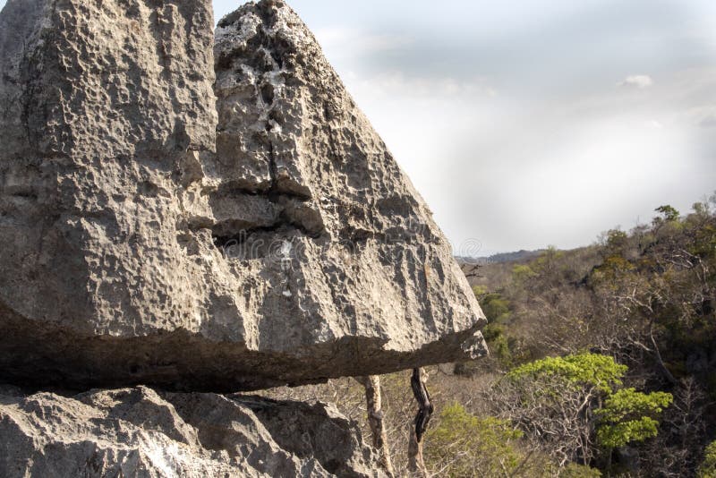 Tsingy Bizarre Limestone Cliffs, Reserve Ankarafantsika, Madagascar ...