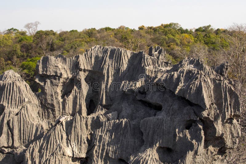 819 Madagascar Limestone Stock Photos - Free & Royalty-Free Stock ...