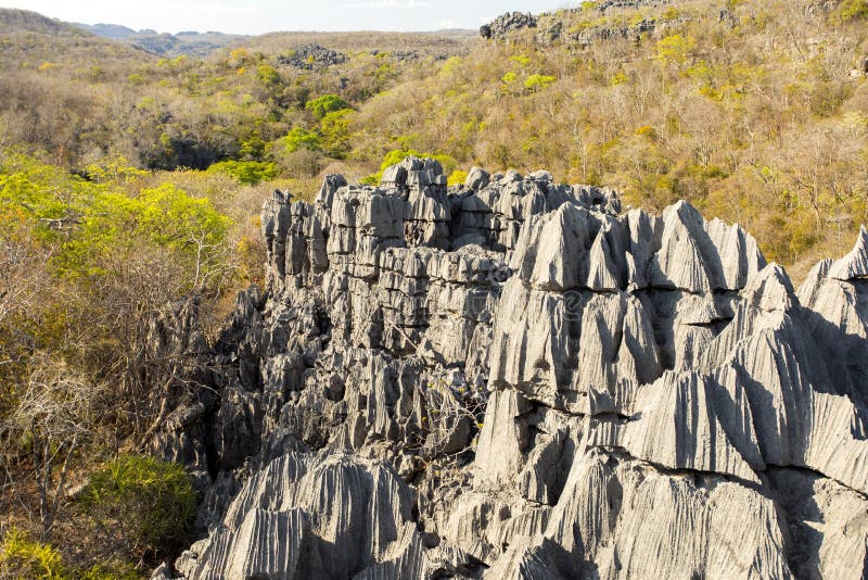 Tsingy Bizarre Limestone Cliffs, Reserve Ankarafantsika, Madagascar ...