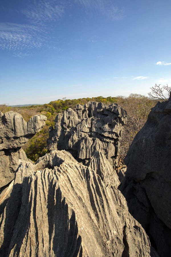 Tsingy Bizarre Limestone Cliffs, Reserve Ankarafantsika, Madagascar ...