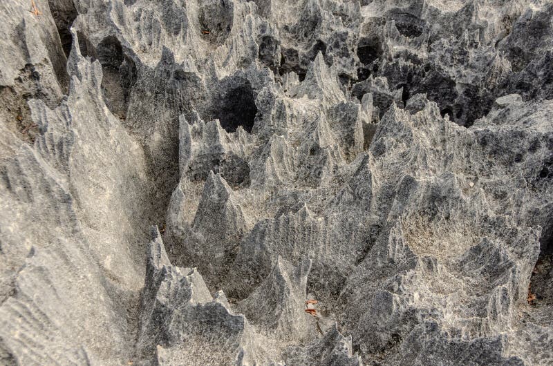 Tsingy Limestone Landscape in Madagascar Stock Image - Image of surface ...