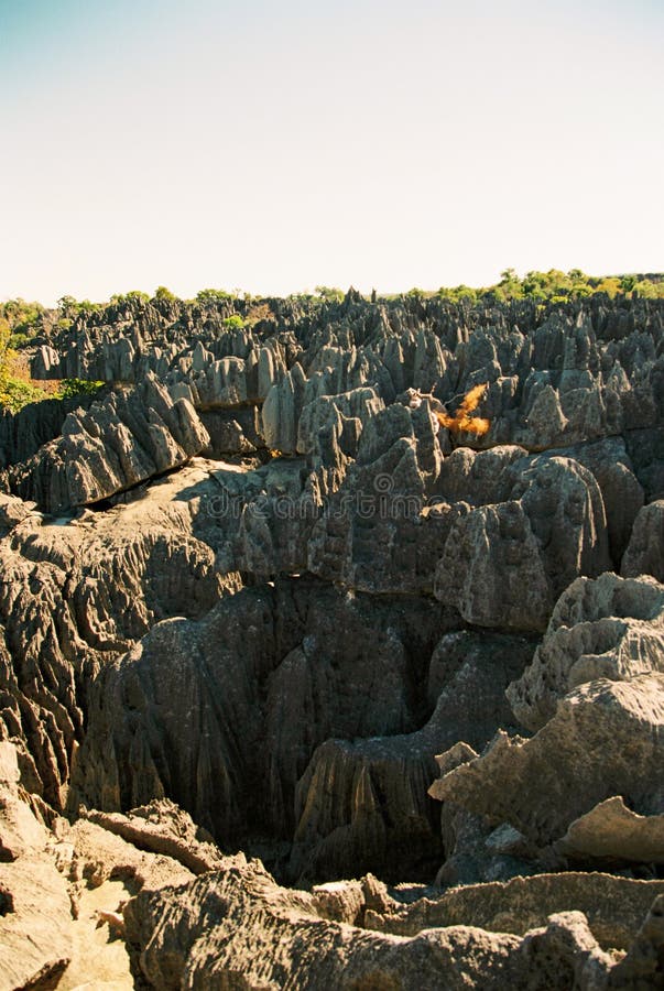 Tsingy Madagascar stock image. Image of africa, travel - 23624907