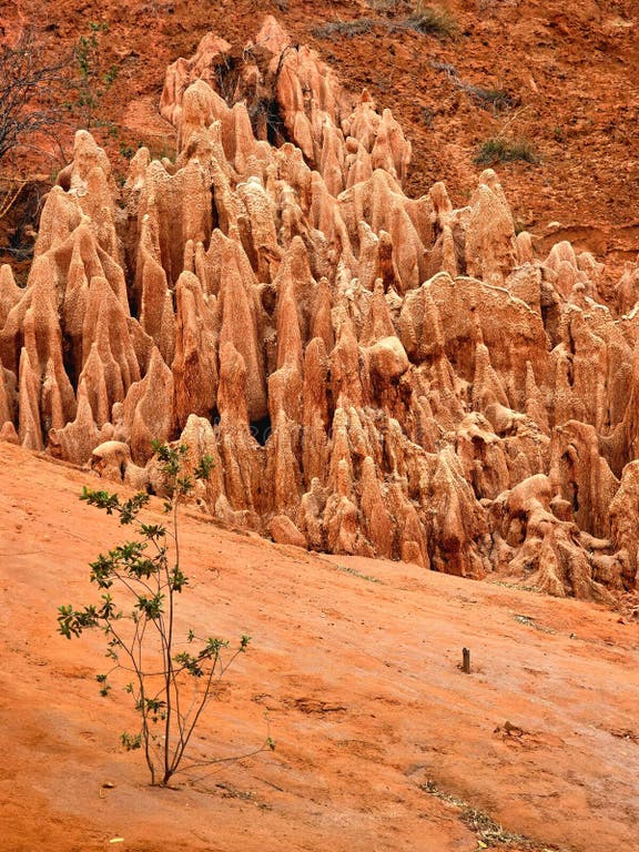 Tsingy Rouge Madagascar, Tsingy Rojo Ankarana Imagen de archivo ...