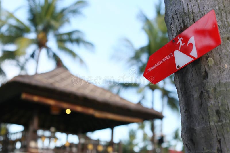 Tsunami Warning Sign on the Palm in Indonesia Stock Image - Image of ...