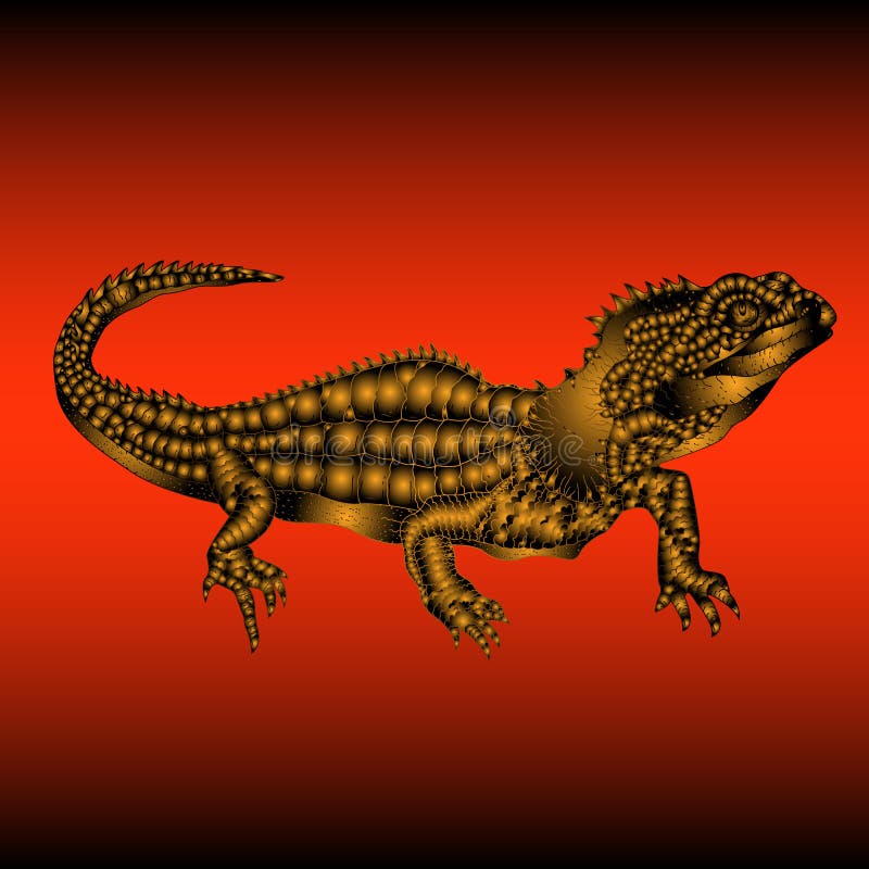 Tuatara Stock Illustrations – 118 Tuatara Stock Illustrations, Vectors ...