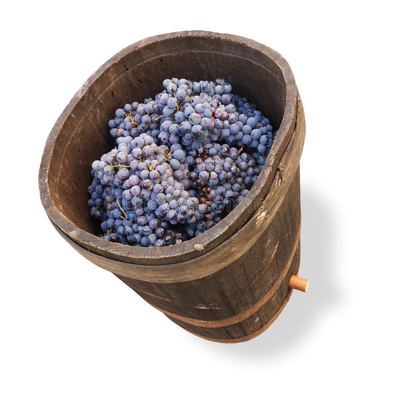 Tub Grapes Clipping Path Stock Photos - Free & Royalty-Free Stock ...