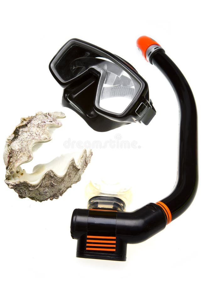Tube for Diving (snorkel), Sea Shell and Mask Stock Photo - Image of ...