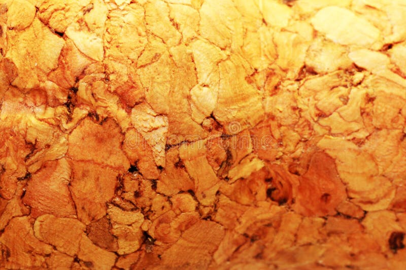 Tube Texture, Background of Decorative Cork Board Texture. Panel for ...