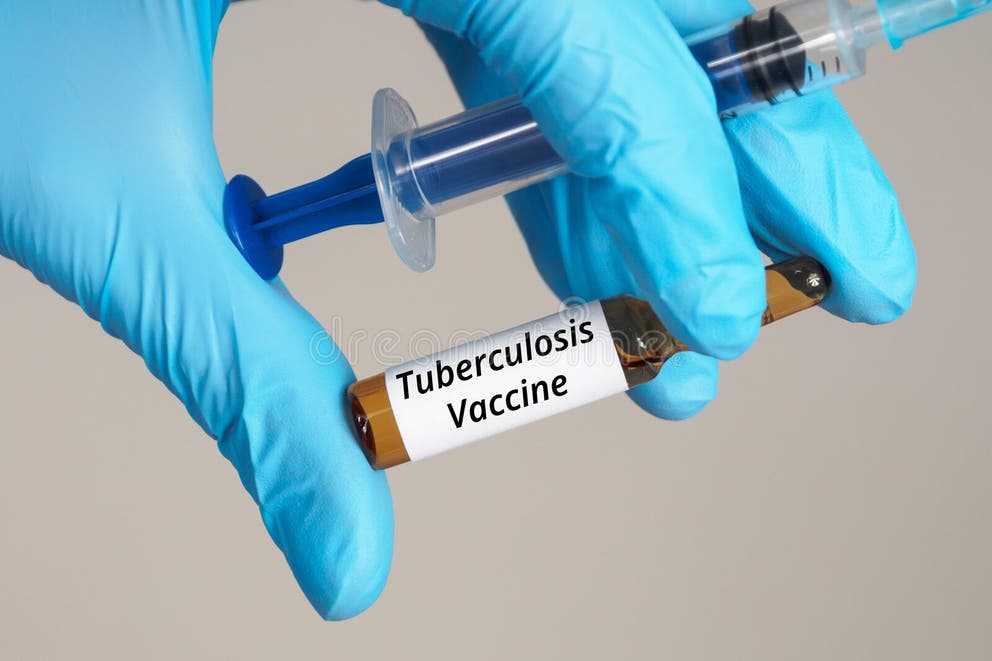 Tuberculosis Vaccine Text Meaning Explanation Vaccination Stock Photo ...