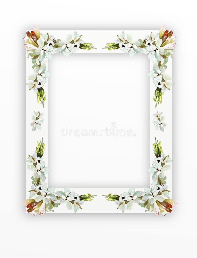 Tuberose Flowers on Vertical White Frame Stock Illustration ...