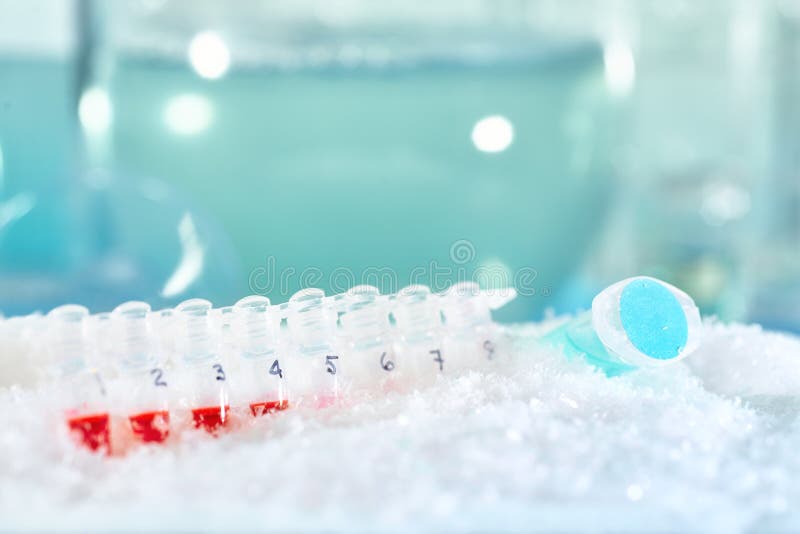 Tubes for DNA Amplification by PCR on Ice Stock Image - Image of ...