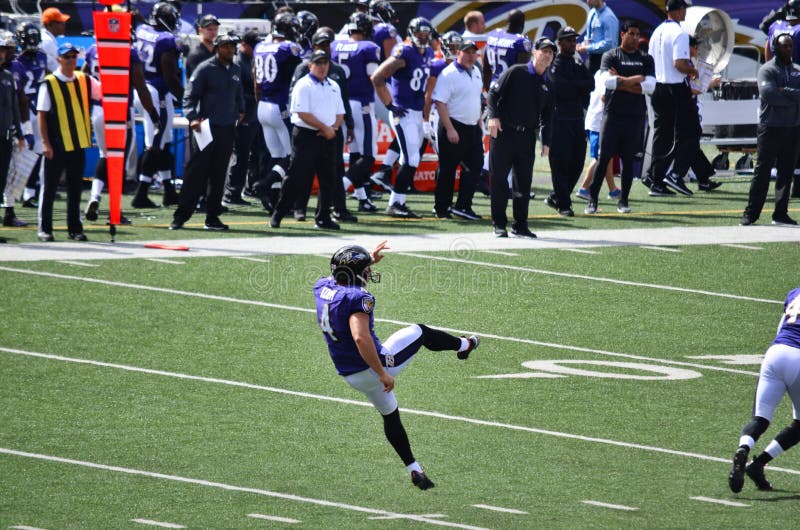 Punter editorial photo. Image of hawk, flacco, bank, game - 60273136