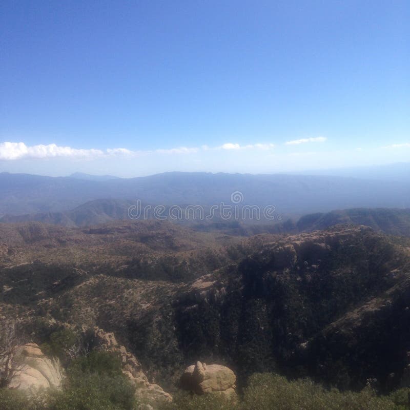 101 Lemon Tucson Arizona Stock Photos - Free & Royalty-Free Stock ...