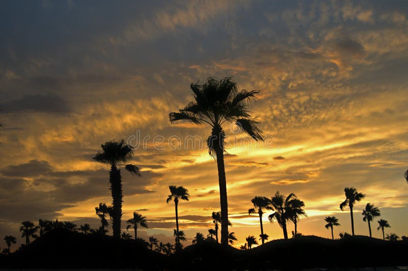 Tucson Summer Sunset stock photo. Image of desert, tucson - 83140552