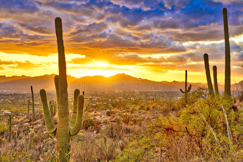 Tucson stock image. Image of pima, southwest, desert - 86359993