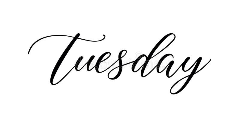 Tuesday - Handwritten Text in Calligraphic Style on a White Background ...