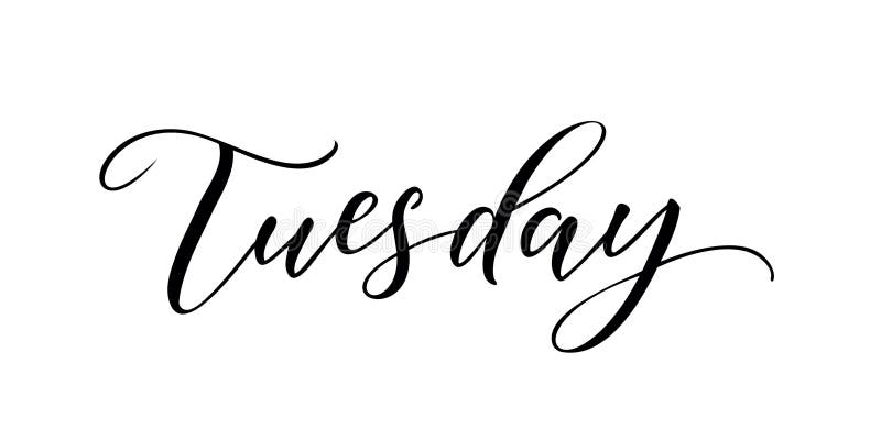 Tuesday - Handwritten Text in Calligraphic Style on a White Background ...