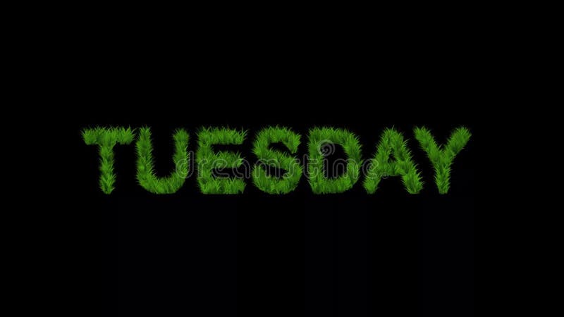 Tuesday Text with Green Grass Effect on Plain Black Background Stock ...