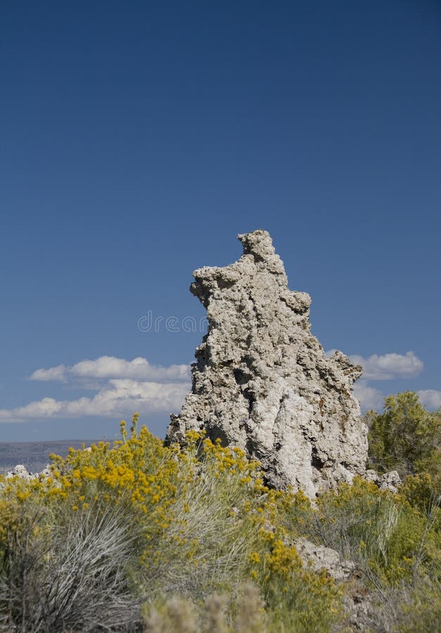 Tufa Formation Near the Mono Lake Stock Photo - Image of geology ...