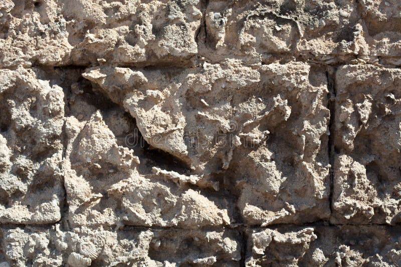 Tuff Wall Texture stock photo. Image of gray, close, abstract - 23841514