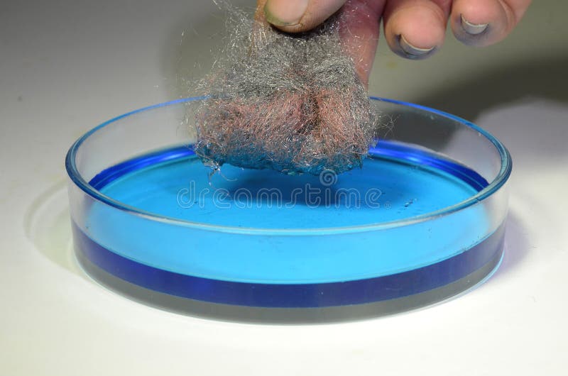 Copper Settles on Steel Wool. Stock Photo - Image of liquid, hand ...
