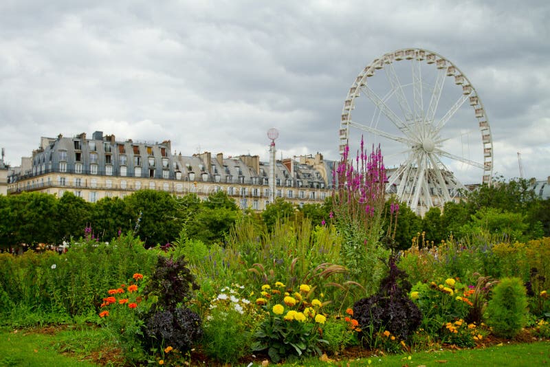 Tuileries gardens , Paris stock photo. Image of famous - 58161448