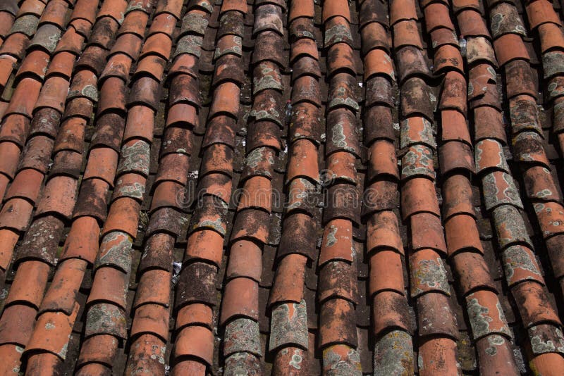 Tuiles mexicaines d'argile photo stock. Image du vivre - 99917122